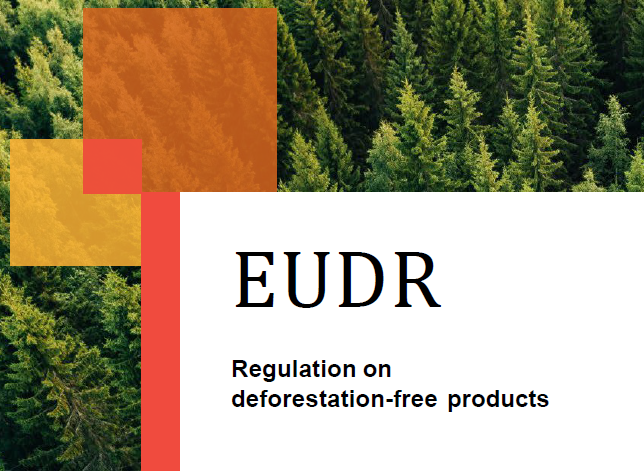 EUDR Regulation on deforestation-free products – Michaela Merz